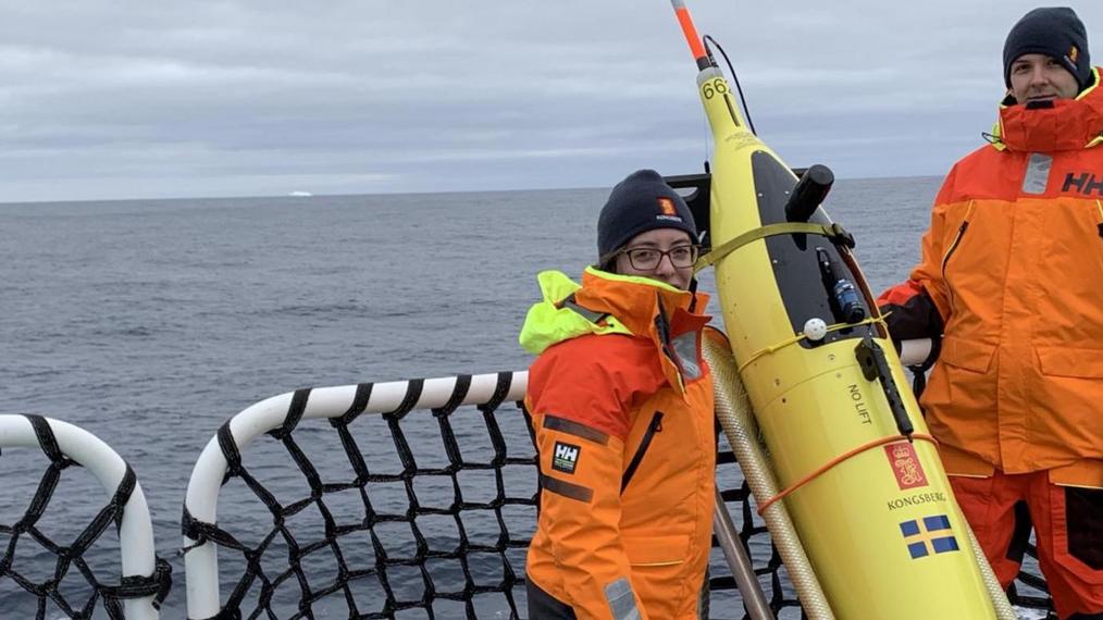 physical oceanographers study