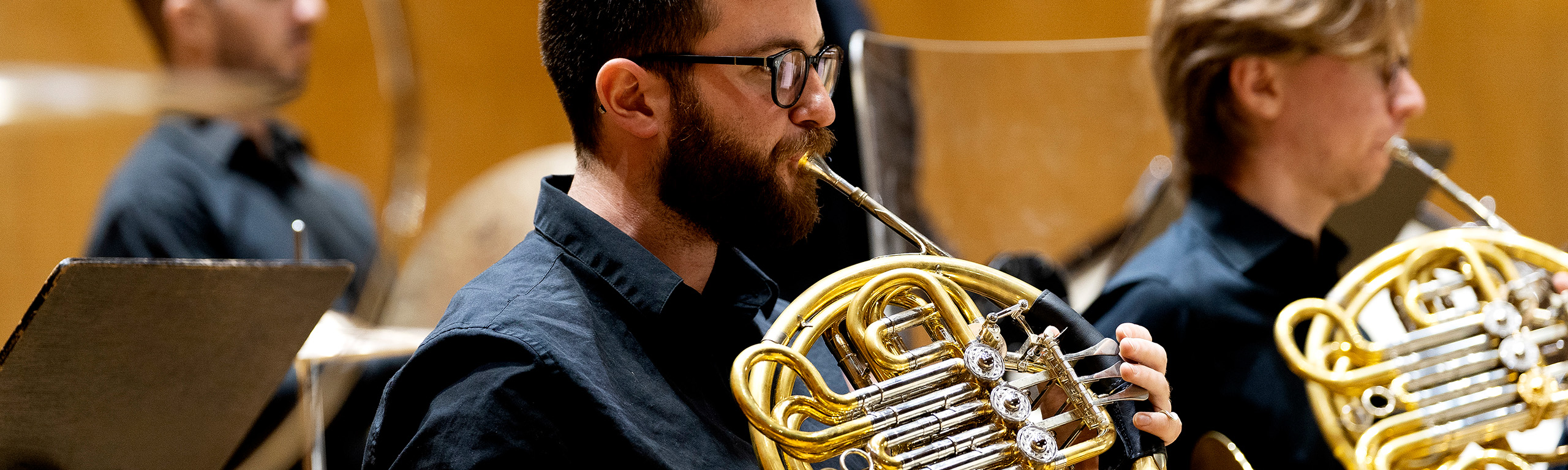 Interpretation for Orchestra Instrument/Piano/Organ, in-depth studies 2 ...