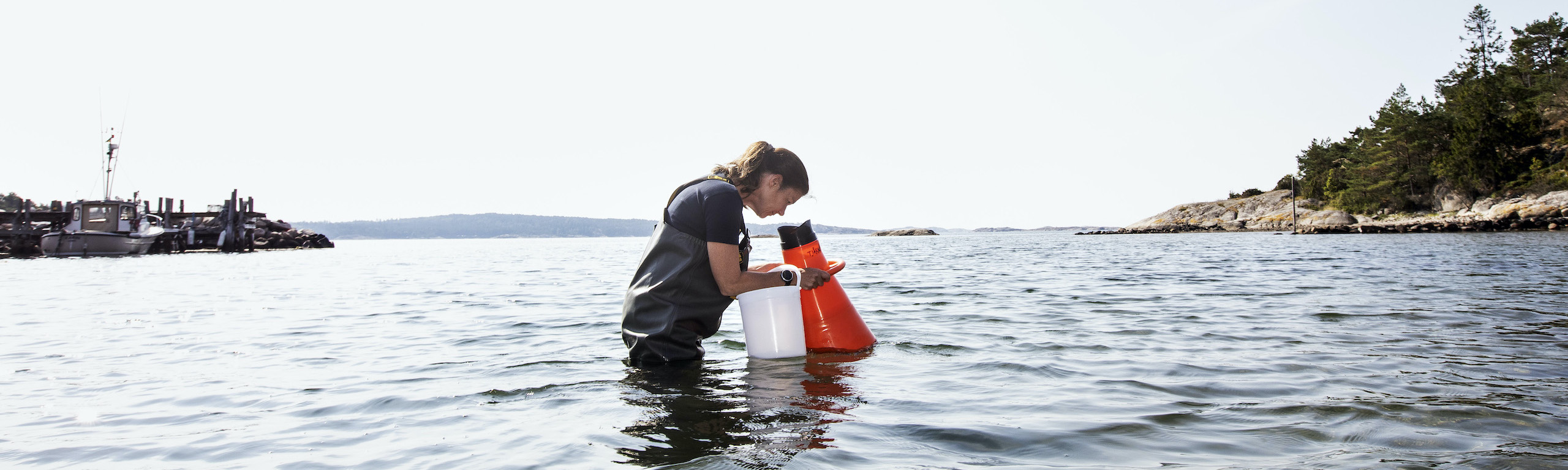 Marine Science, Master's Programme | University of Gothenburg