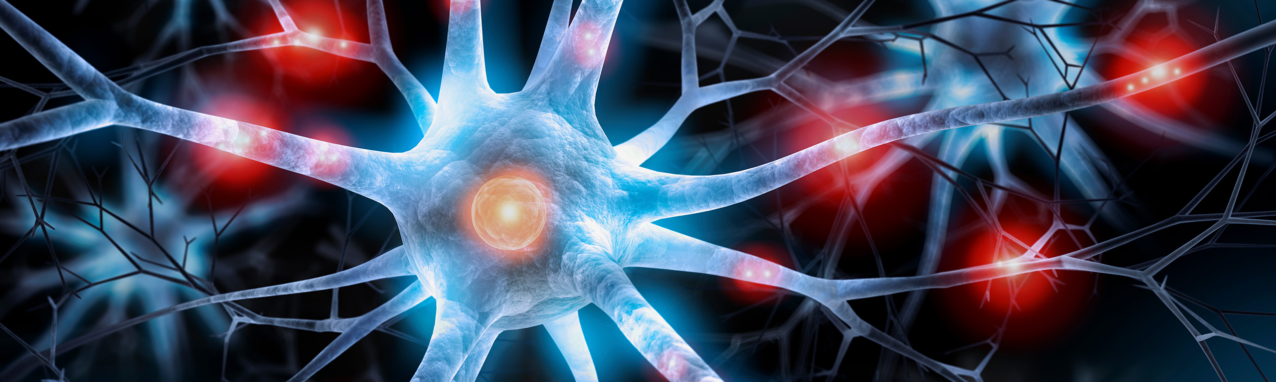 Neurobiology | University of Gothenburg