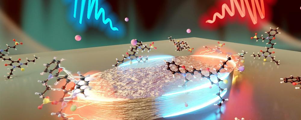 Pulse of light makes polaritons disappear | Mirage News