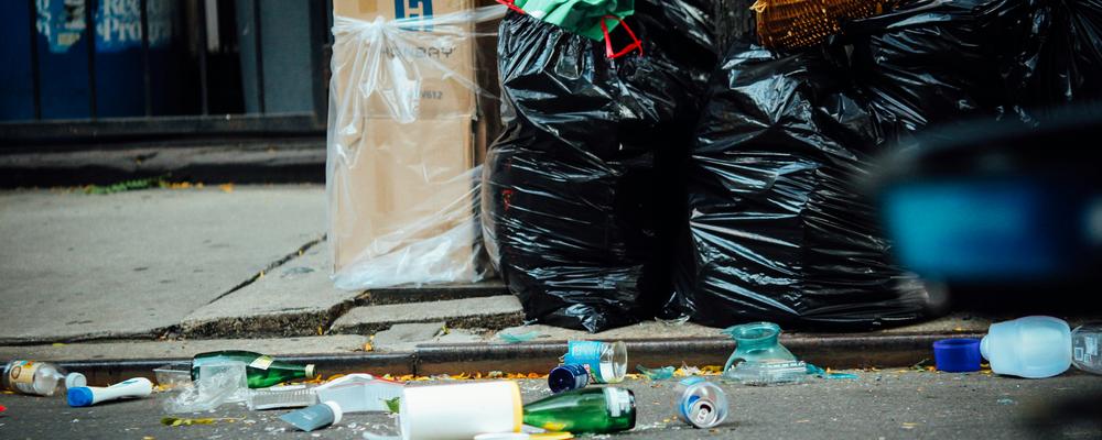 Disgust may contribute to improper waste disposal | University of ...