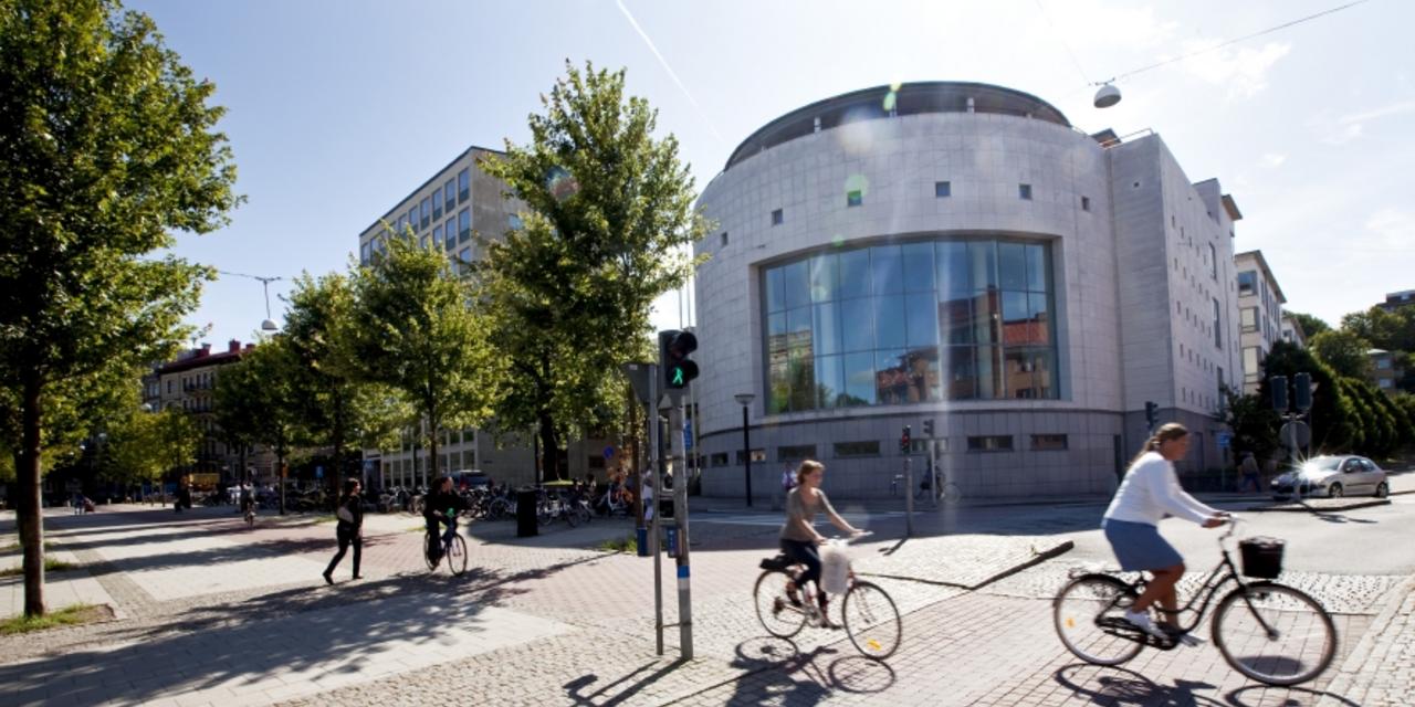 Programme set up: International Business and Trade | University of ...