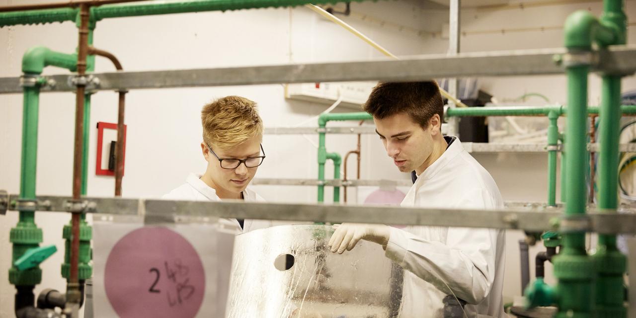 Research projects | University of Gothenburg