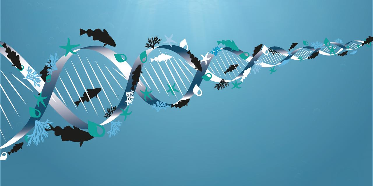 Centre for Marine Evolutionary Biology, University of Gothenburg