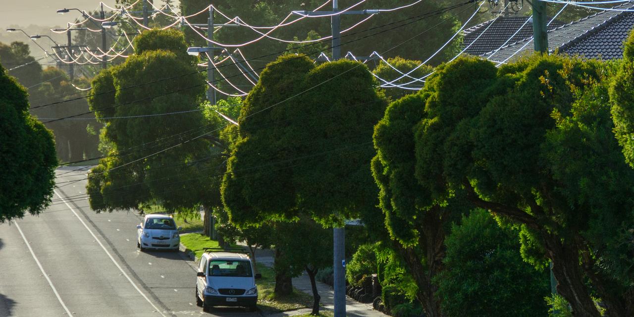 Climate-tree interactions in urban environments: tree growth, health ...