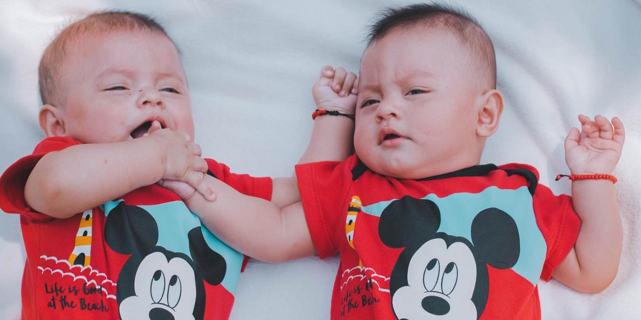 Twin method | University of Gothenburg