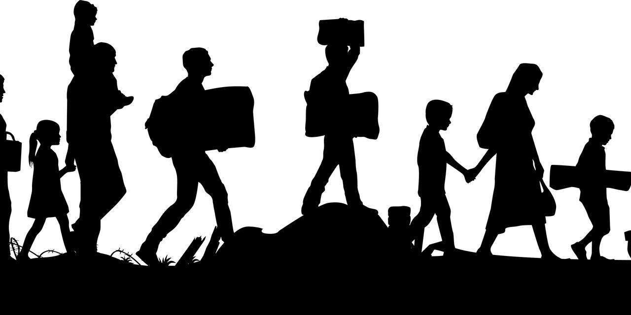 Centre on Global Migration, University of Gothenburg