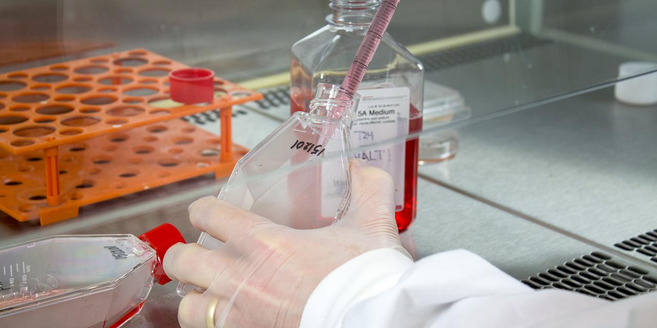 Autonomic Neuroscience Unit | University of Gothenburg