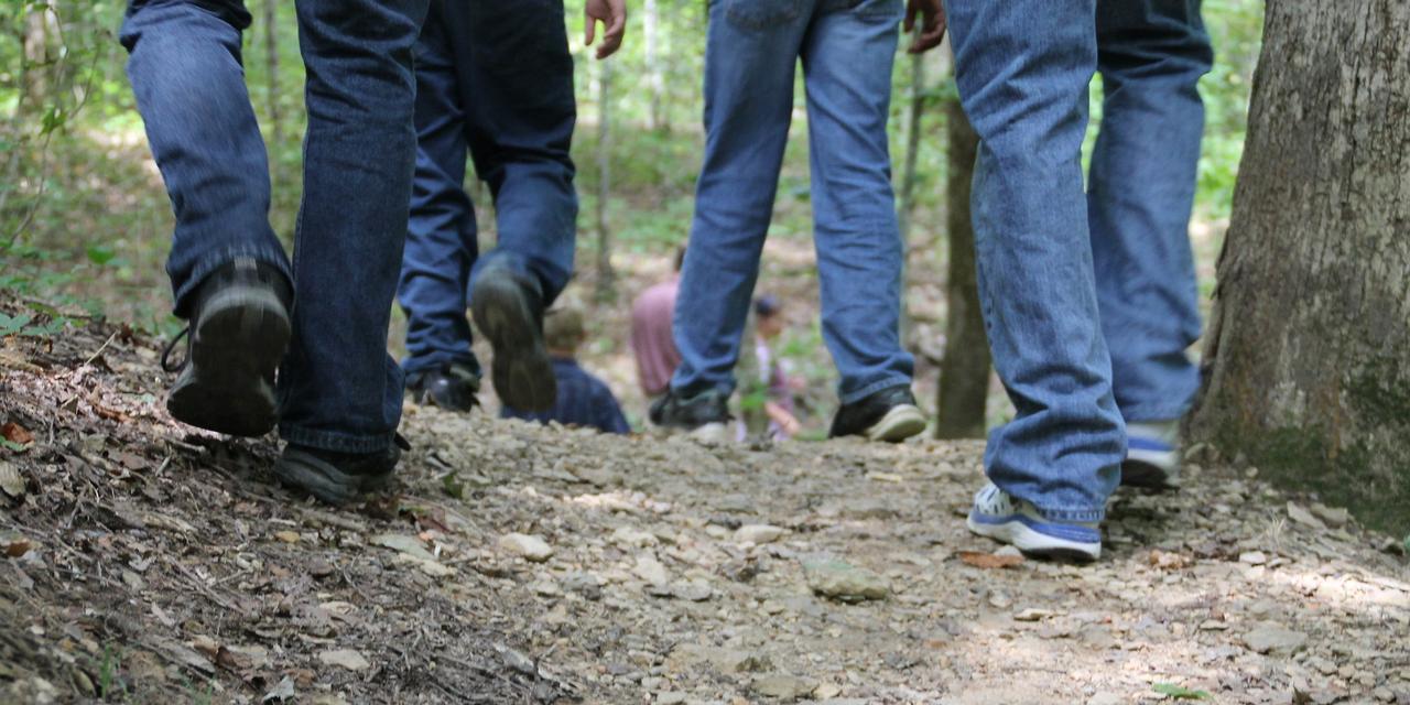 Migration and Diversity | University of Gothenburg