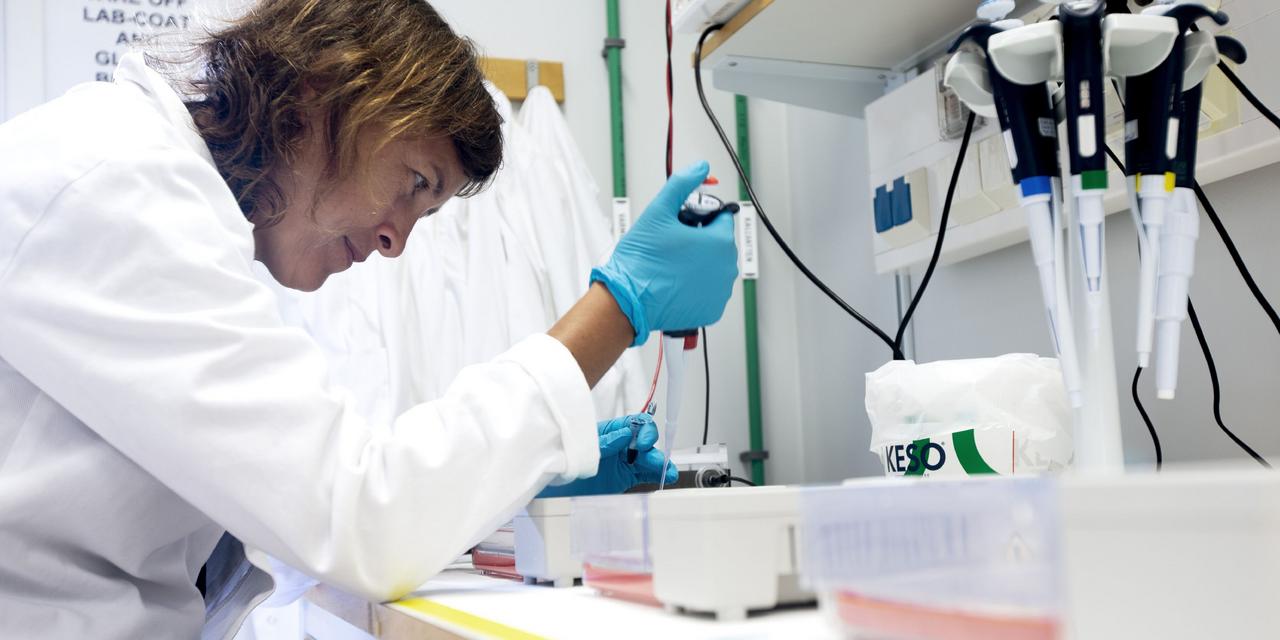 Labb och labbutrustning | Tjärnö marina laboratorium, Göteborgs universitet