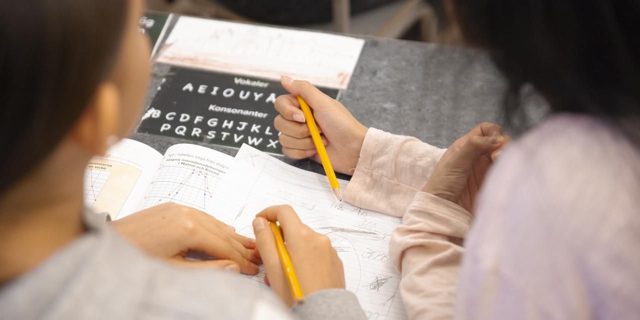 Fenomenografi, Variationsteori och Learning Study | Göteborgs universitet