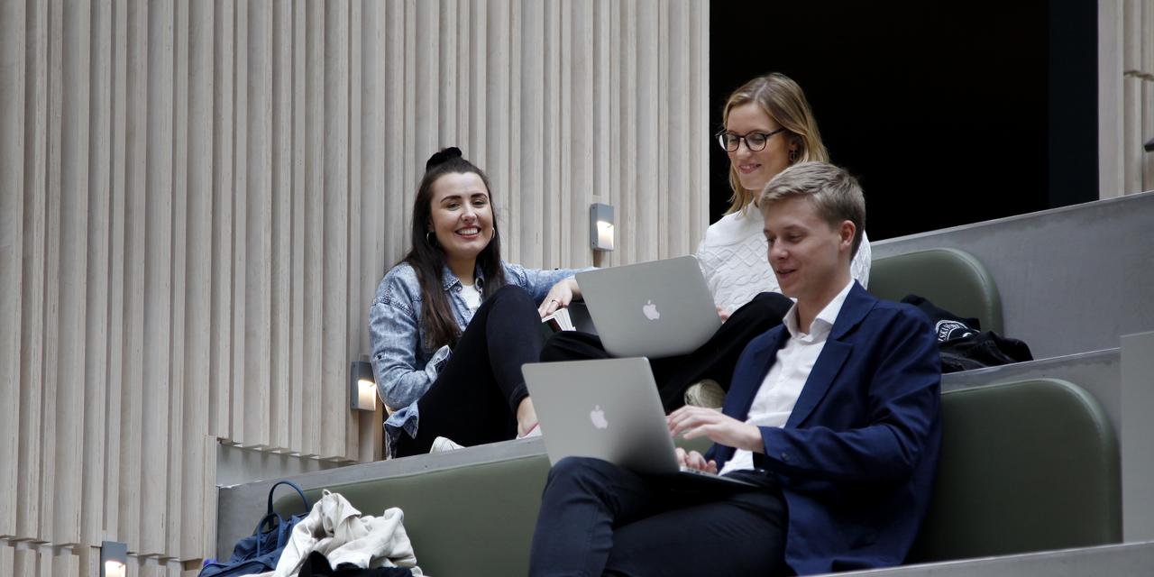 Selection criteria for the Master's Programme in Language and ...