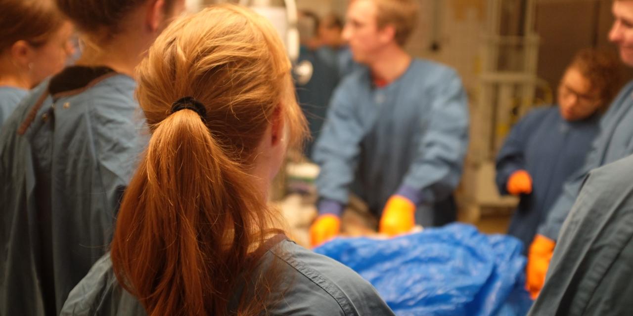 Teaching, training and assessment of surgical skills, using human ...