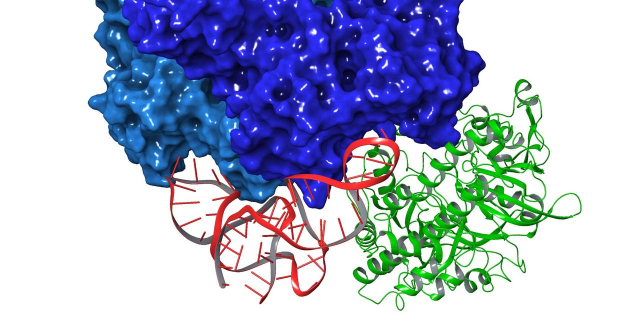 Computational and theoretical biochemistry | University of Gothenburg