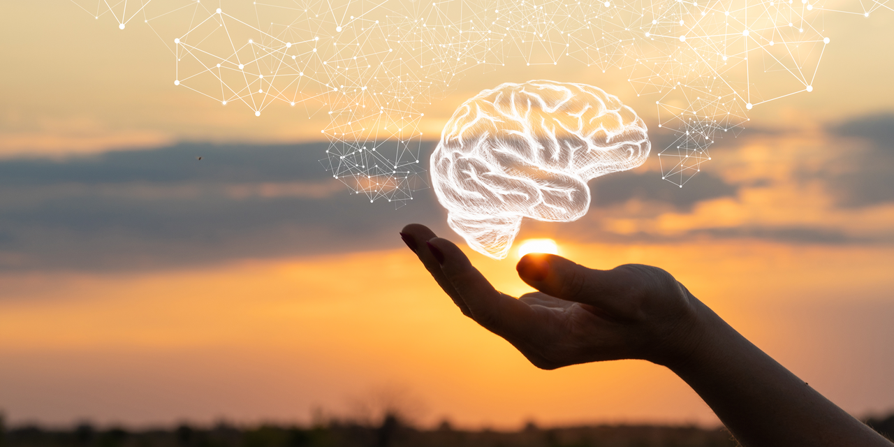 New findings on the field of perinatal brain injury | University of ...