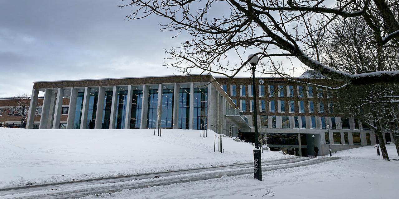 Faculty of Humanities, University of Gothenburg