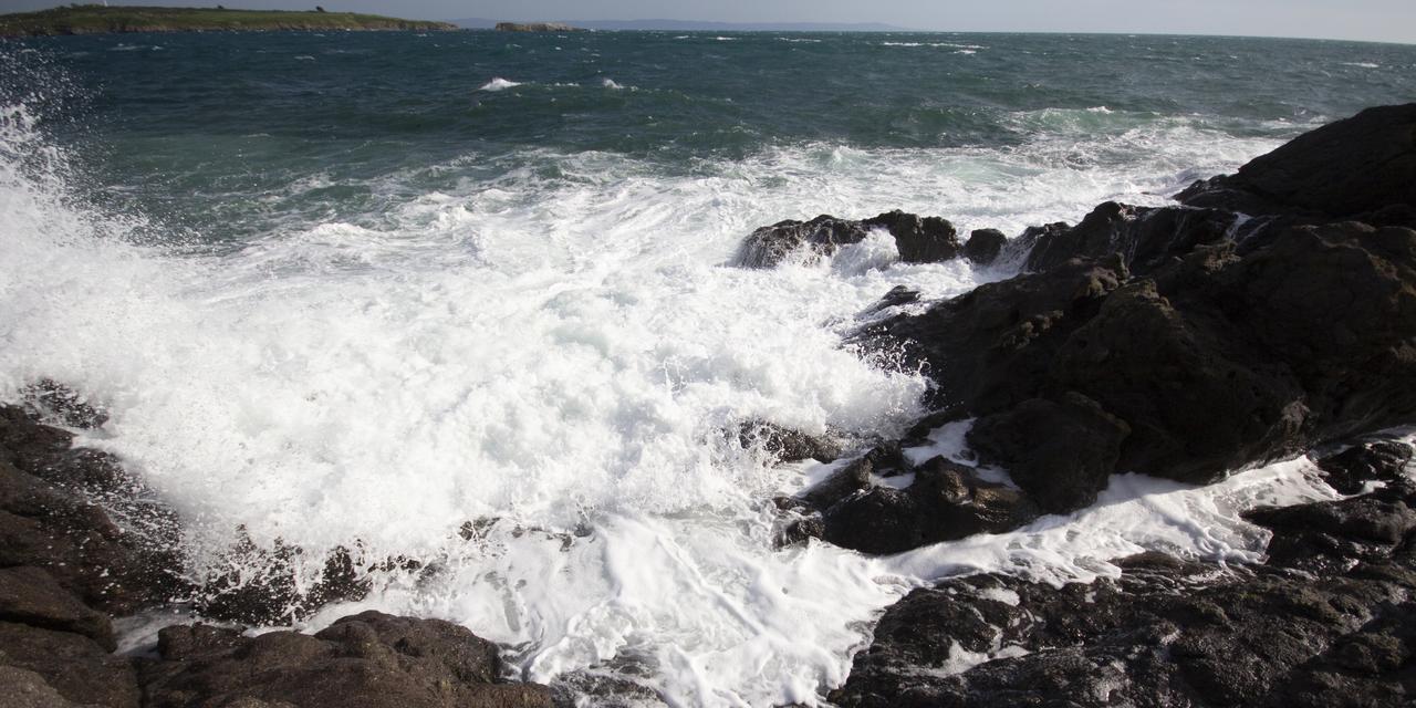 Salty, fresh or both - what happens in the fish? | University of Gothenburg