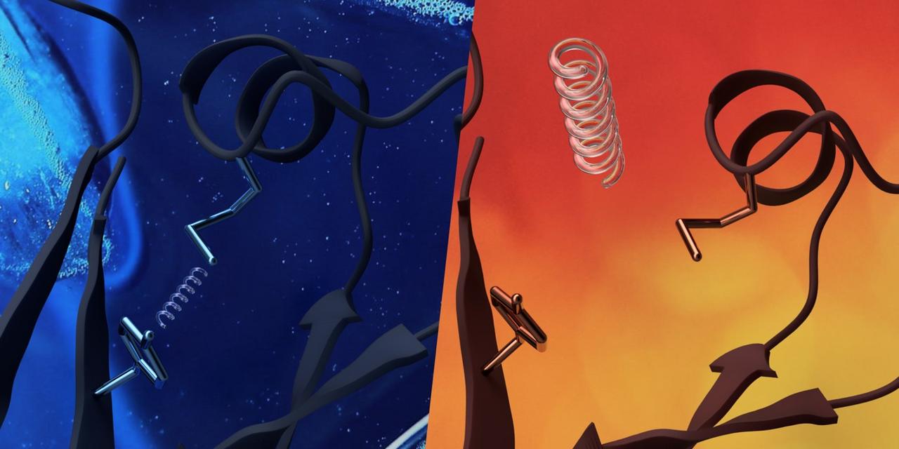 New study gives a better understanding of how housekeeping takes place ...