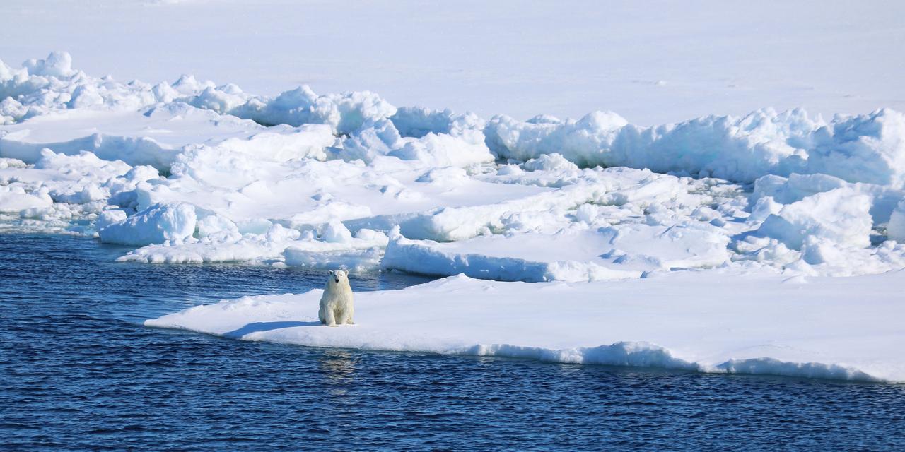 Dramatic increase in Arctic water temperature | University of Gothenburg