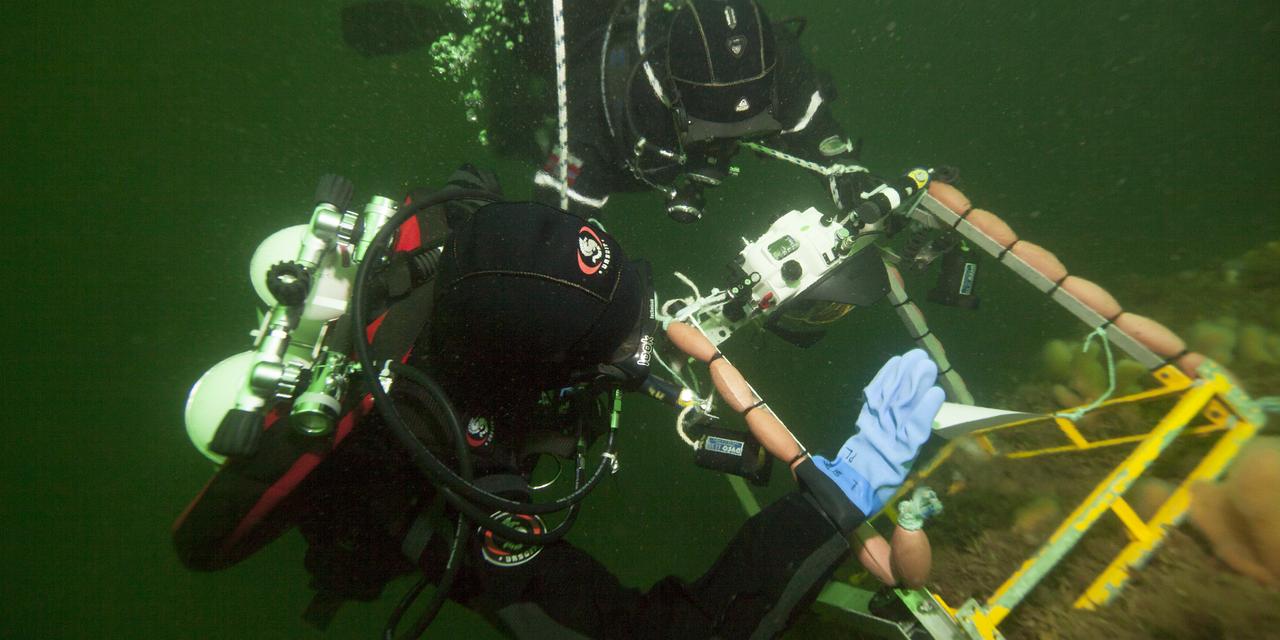 Underwater documentation techniques for scientific divers | University of Gothenburg