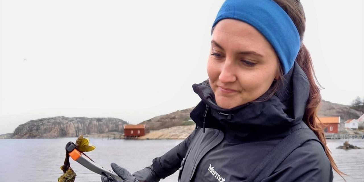 Amanda Dahl studied Sea and Society - now she works with aquaculture ...