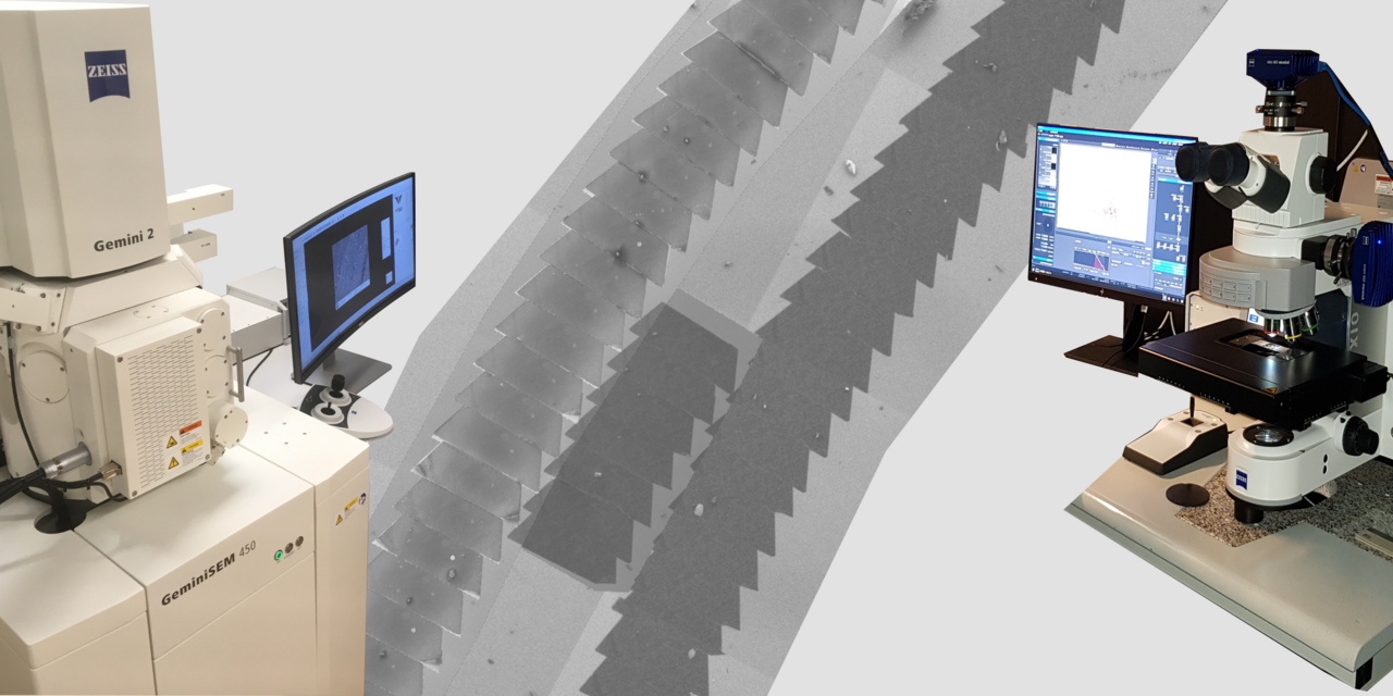 Correlative Array Tomography | Core Facilities, University of Gothenburg