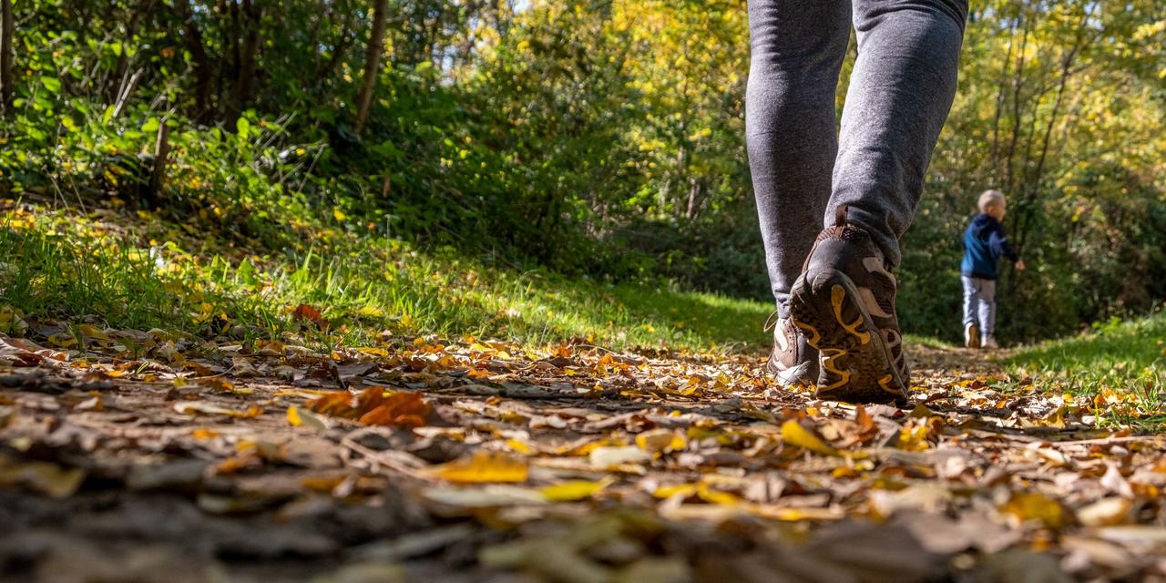 Light physical activity linked to milder symptoms from intracerebral ...