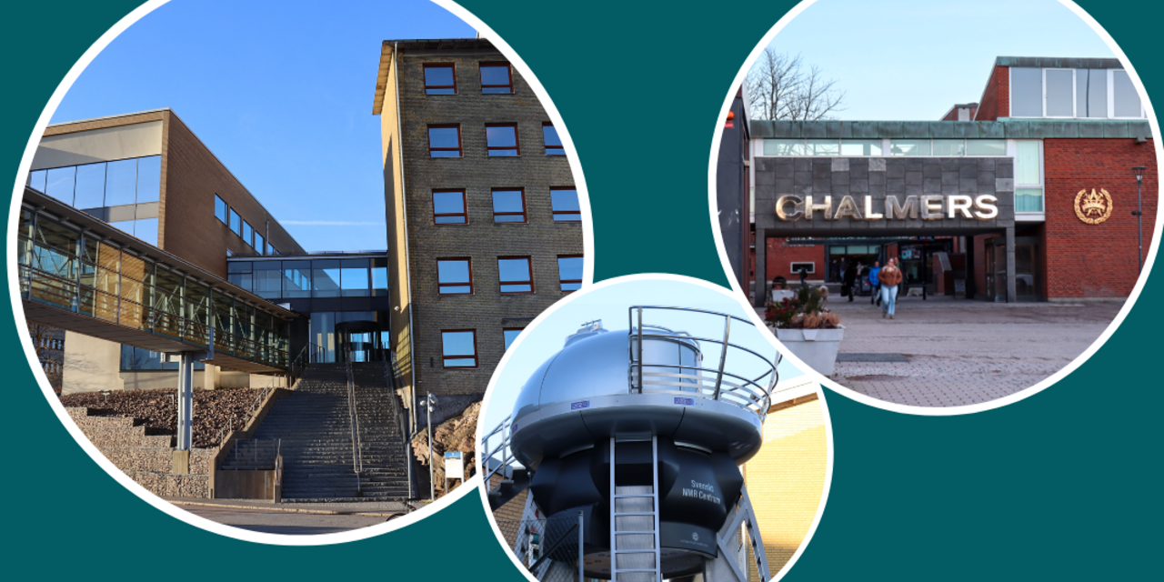 SciLifeLab Day Gothenburg 2023 | SciLifeLab Gothenburg, University of ...