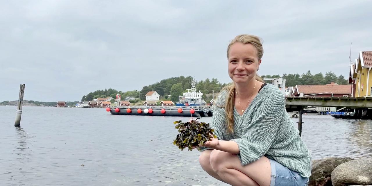 Alexandra Kinnby receives Formas grant on ocean acidification and ...