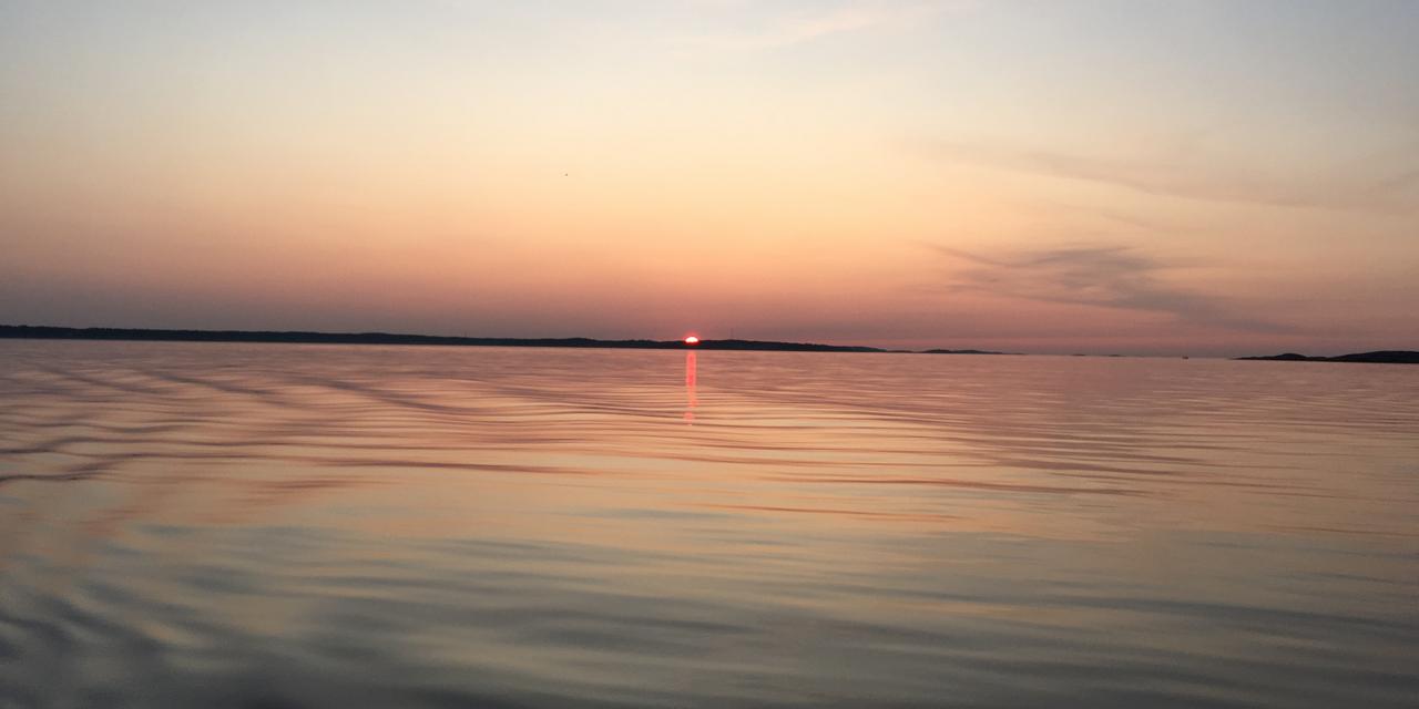 Hur mår havet? | Göteborgs universitet