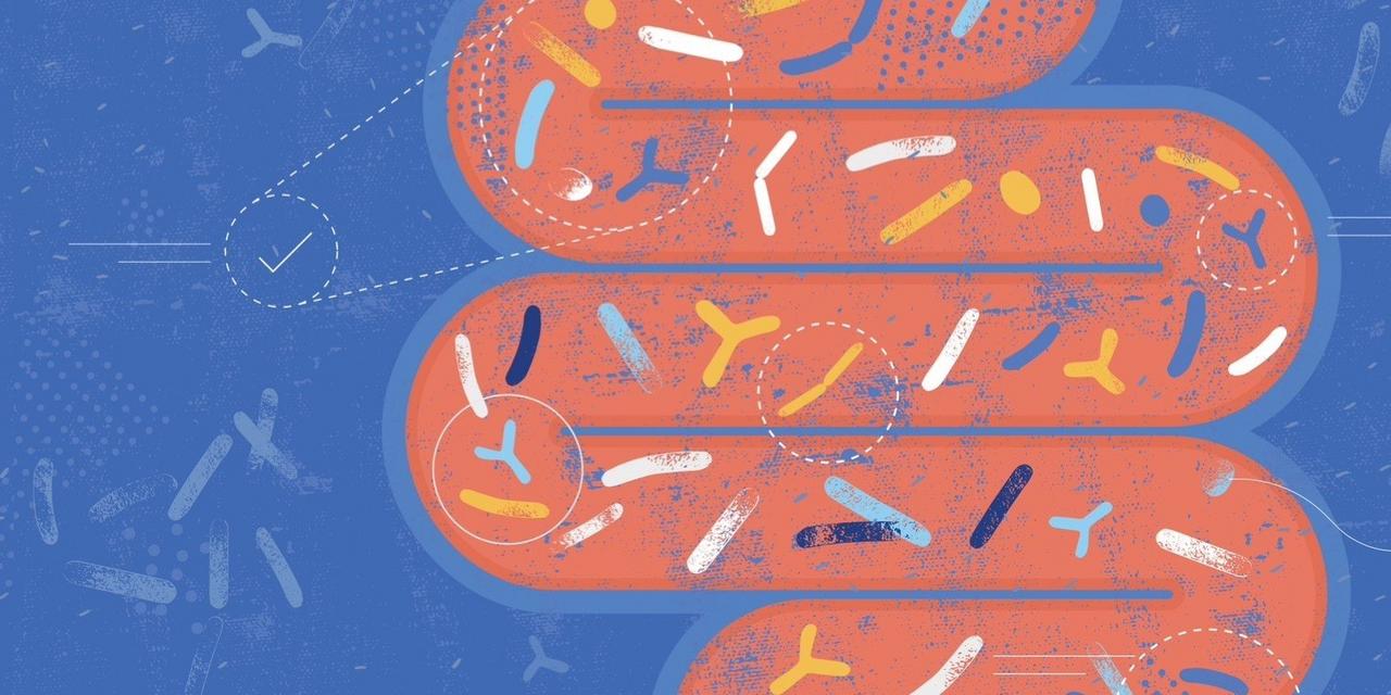 Important step toward next-generation probiotics | University of Gothenburg