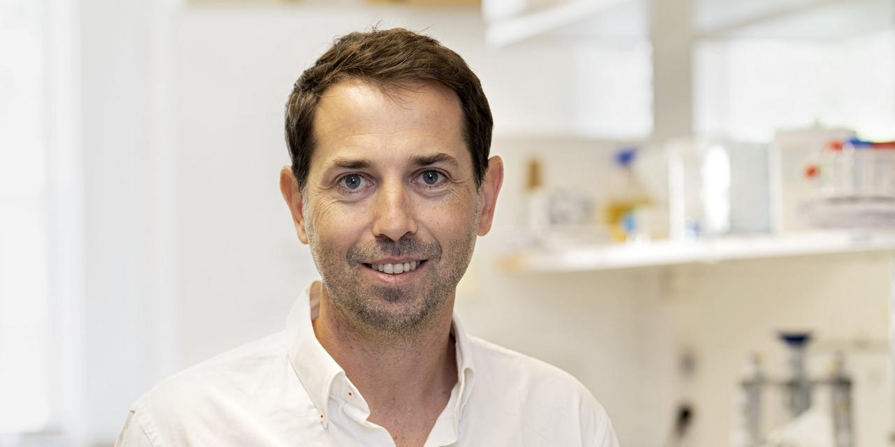 Wallenberg Centre biophysicist seeks markers for diabetes | University ...