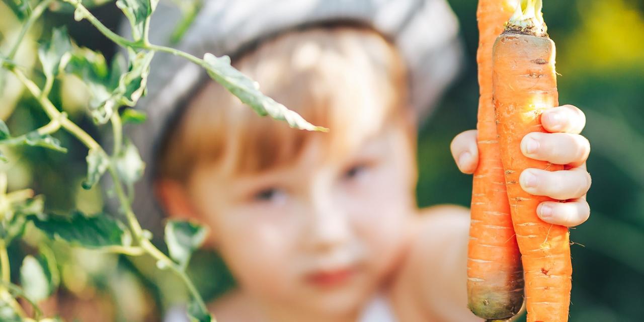 Bra kost tidigt i livet tycks skydda mot inflammatorisk tarmsjukdom ...
