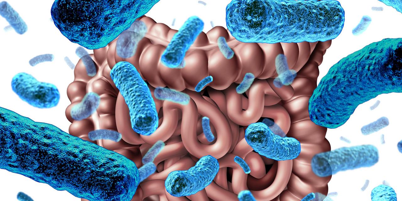 International initiative for research on the impact of gut bacteria ...