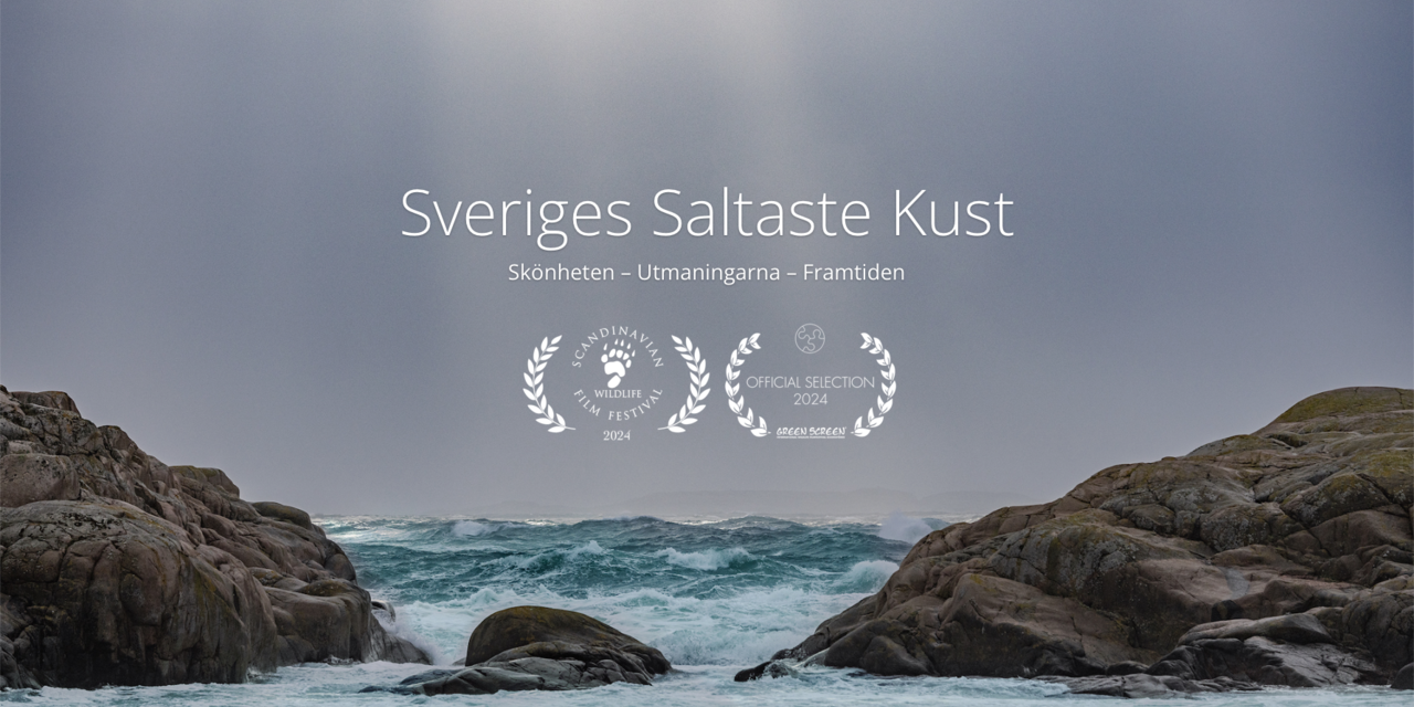 Filmvisning: Sveriges Saltaste Kust | Göteborgs universitet