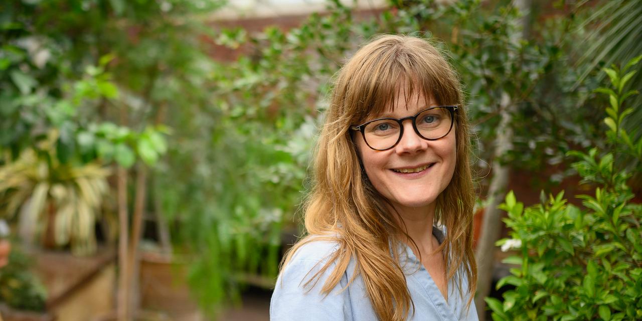 Kaisa Thorell group | University of Gothenburg