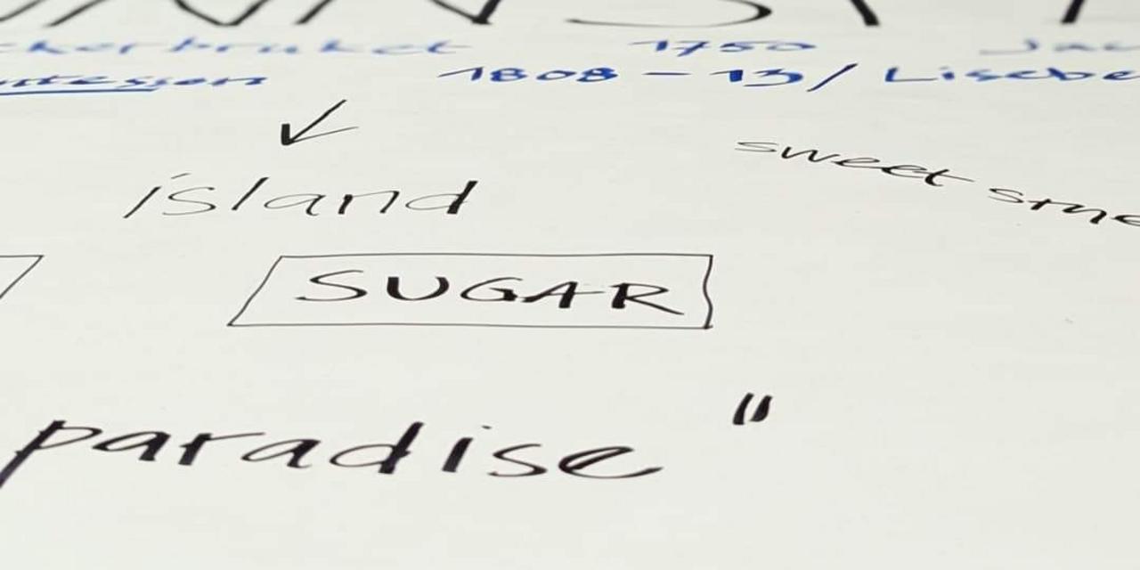 The Sugar Games. New perspectives on Gothenburg's colonial history ...