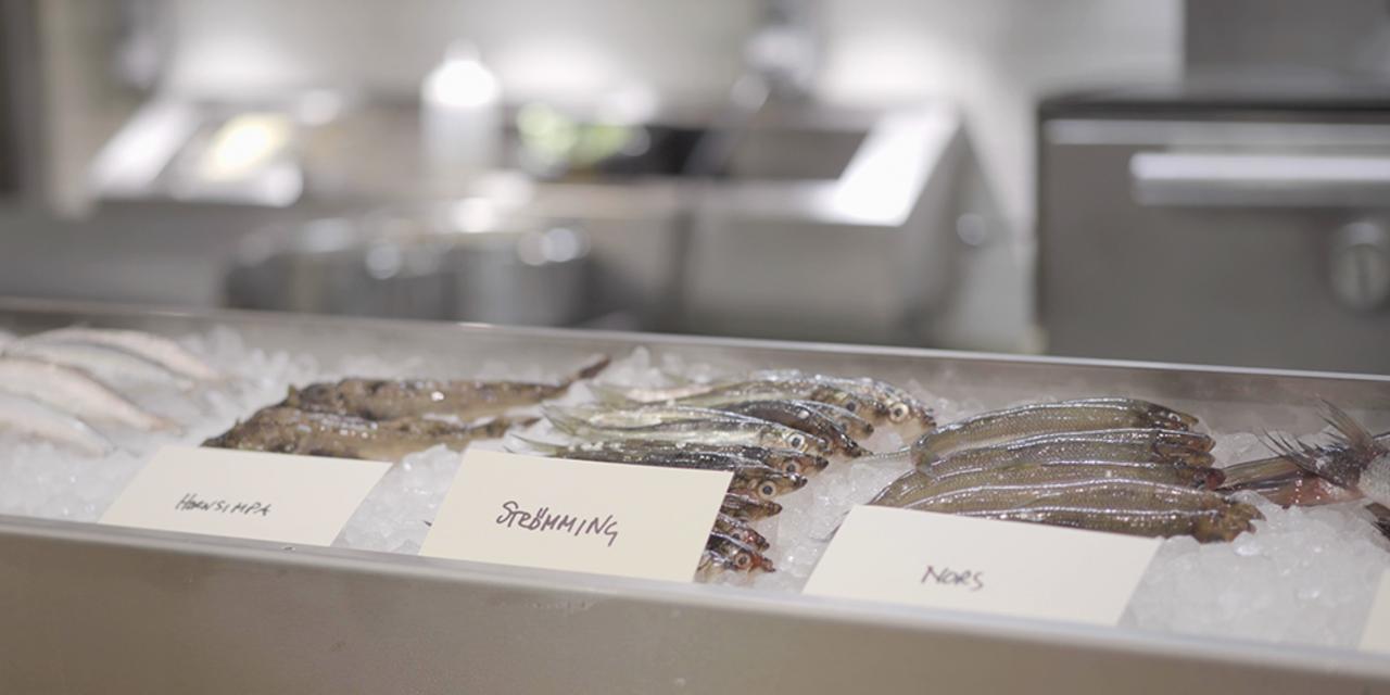 Forgotten fish | University of Gothenburg
