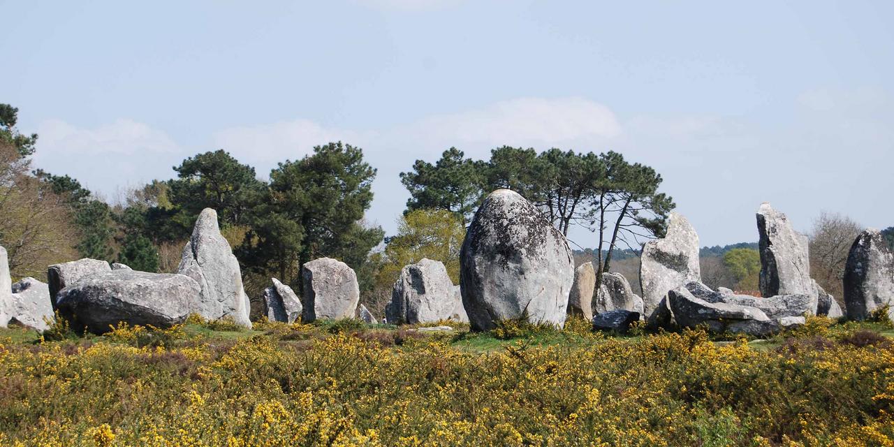 Mikayla purple lights xxx one should be willing to pass