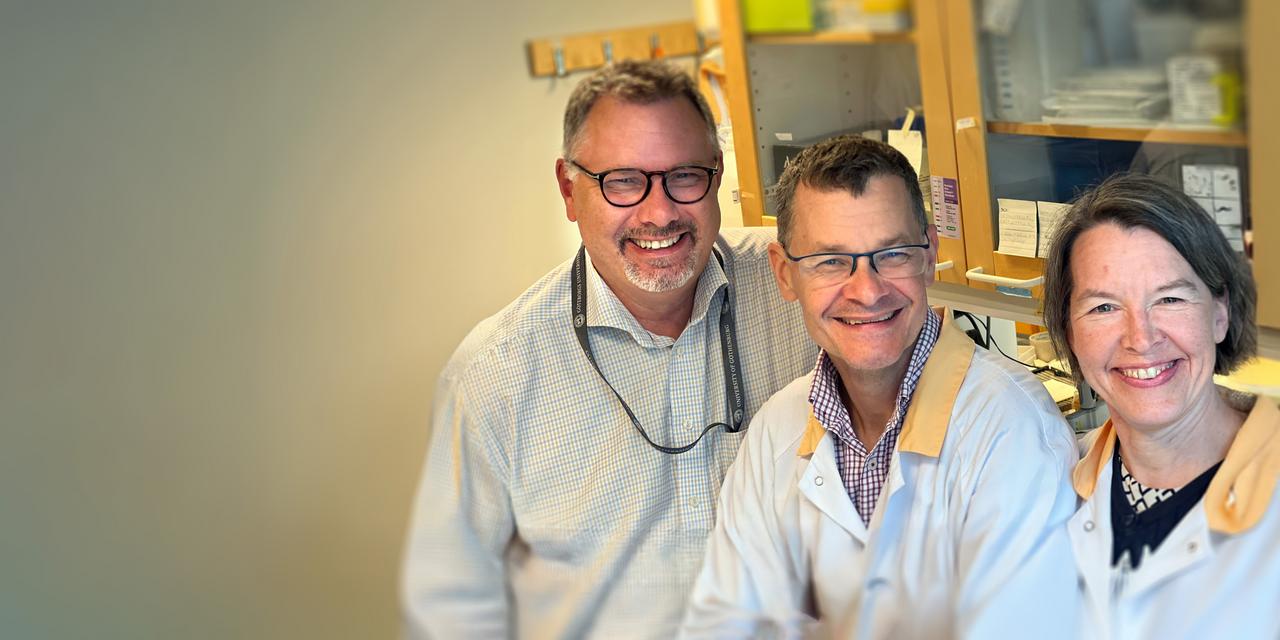 Research couple brings optimized cancer treatment home to Gothenburg ...