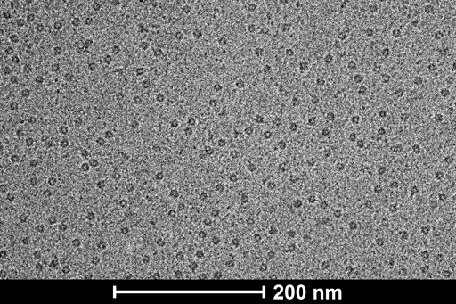 TEM sample preparation techniques | Core Facilities, University of Gothenburg