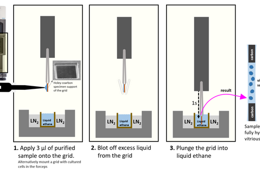 TEM sample preparation techniques | Core Facilities, University of Gothenburg