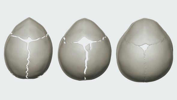 Madiha Bhatti-Søfteland - Det finns en rad faktorer som påverkar ...